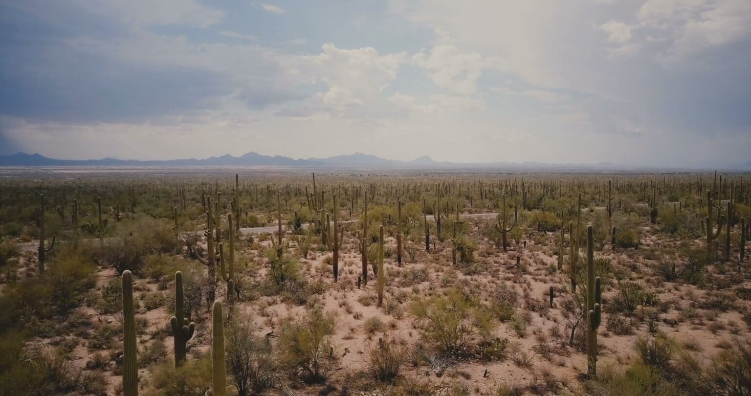 Inside the World’s Hottest Regions: A Complete Guide to Hot Desert ...