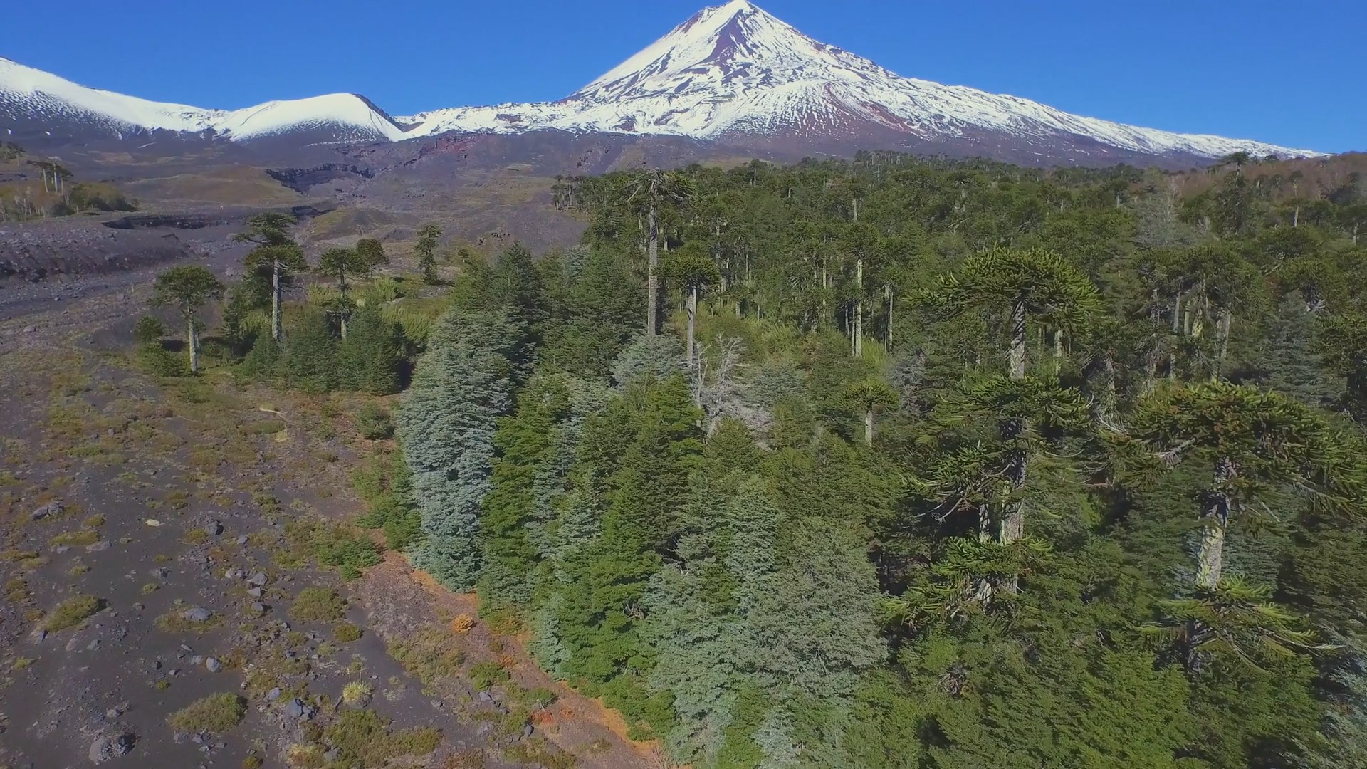 Oceanic (7) - Geodiode